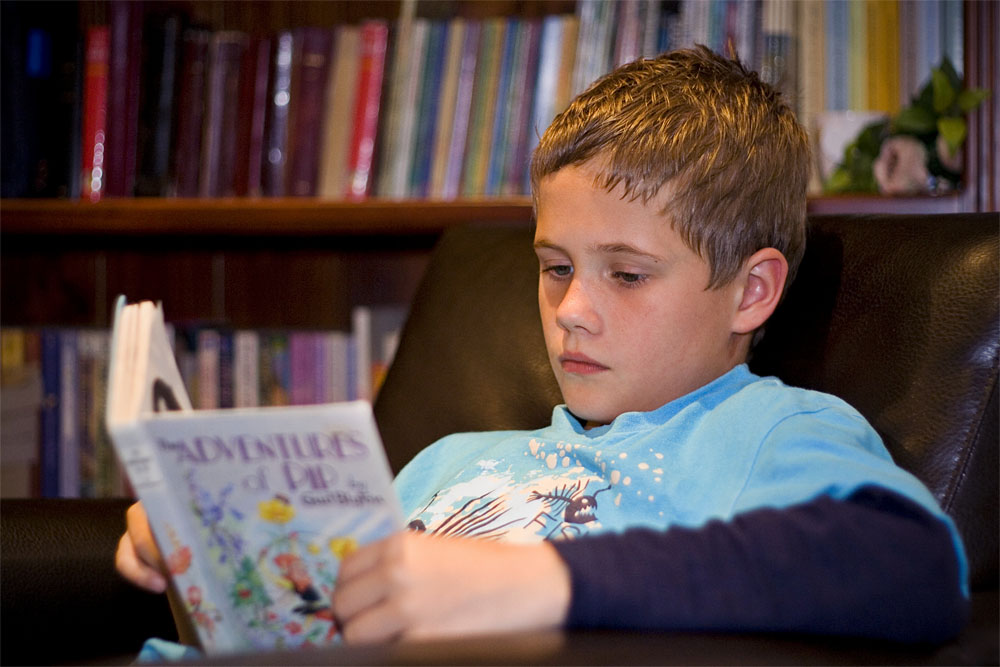 engrossed - MartyBugs Photo Galleries